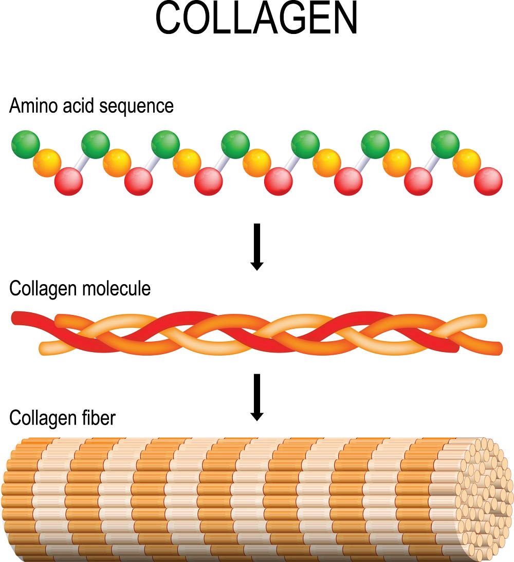 EVERYTHING YOU NEED TO KNOW ABOUT ANTI-AGING SKIN CARE - Flora’s Vanity