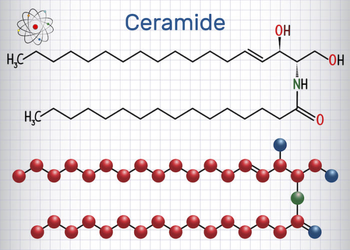 ALL ABOUT CERAMIDE ITS RELATIONSHIP TO SKIN AGING Flora s Vanity
