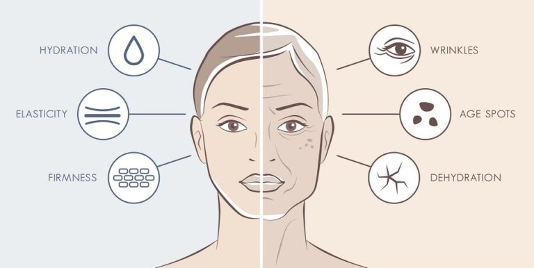 Aging Signs And Solutions To Intervene Prevent And Improve Skin With Science Standards Flora